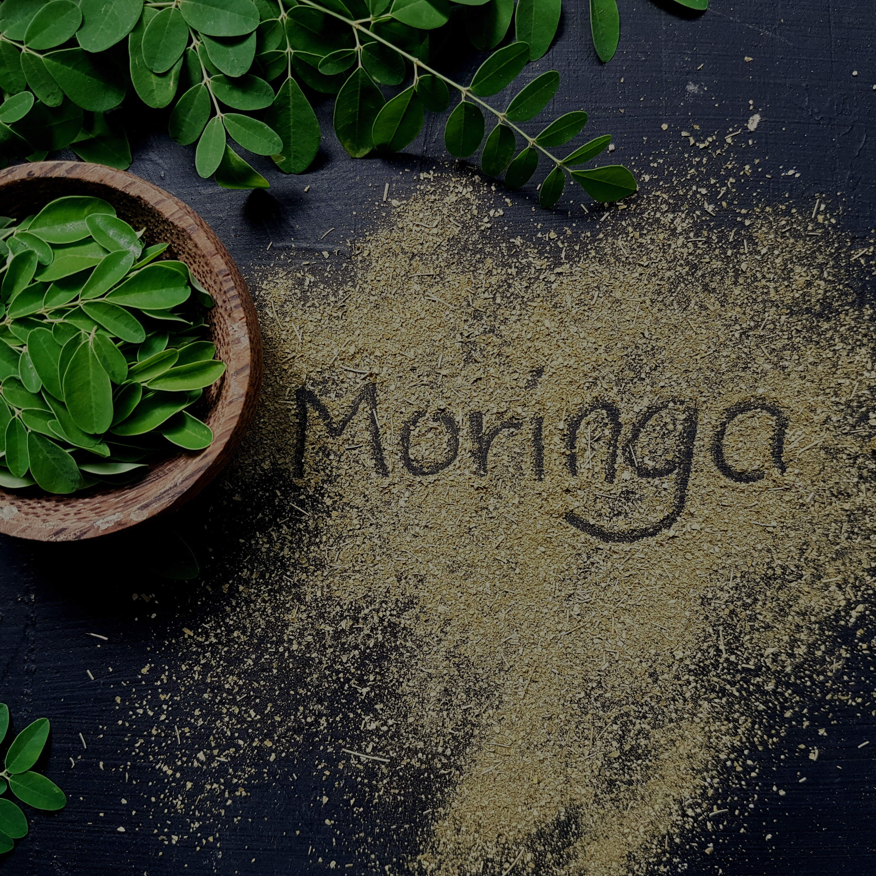 Moringa - Achat en ligne – Origines & Saveurs